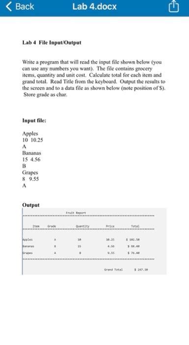 solved back lab 4 docx lab 4 file input output write a