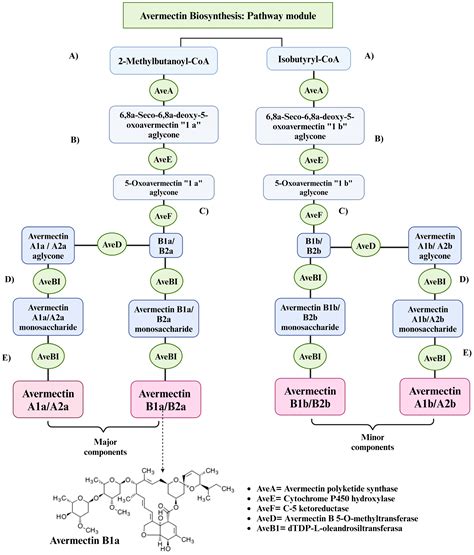 Potential Of Streptomyces Avermitilis A Review On Avermectin