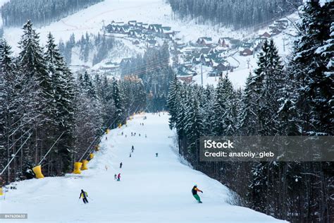 스키어와 스노우 보더 눈 덮인 숲과 언덕 배경에 대 한 Bukovel의 겨울 저녁 프리 스키 사면 스키 시즌 및 겨울 스포츠