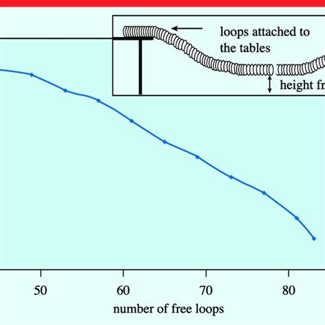 The Non Linear Relationship Between The Height From The Floor And The Download Scientific
