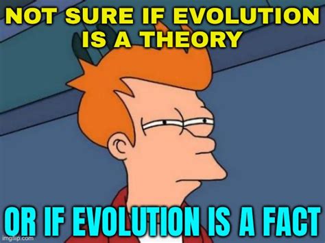 Not Sure If Evolution Is A Theory Or If Evolution Is A Fact Imgflip