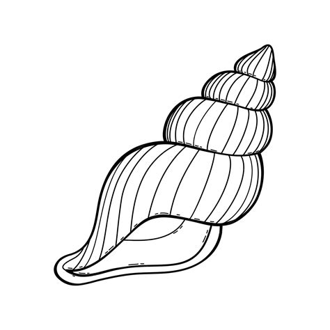 Premium Vector Black And White Outline Of Underwater Seashell
