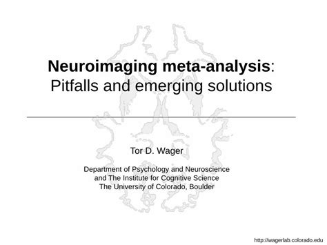 Pdf Neuroimaging Meta Analysis Dokumentips