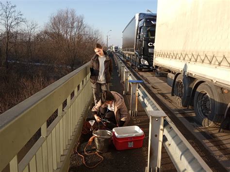 Інформація щодо забруднення річки Тиси важкими металами « Басейнове управління водних ресурсів