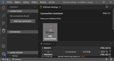 Vscode连接sqlserver（以及一直正在扩展问题的解决方法） Mumulucky 博客园