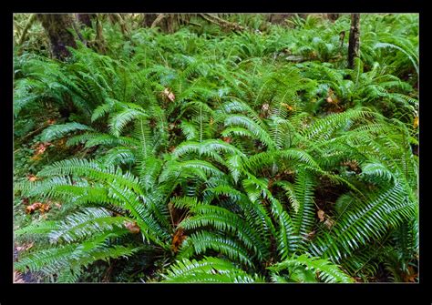 Polarizer Comparison RobsBlogs