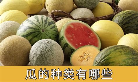 瓜的种类有哪些，你知道的有多少种？学厨网