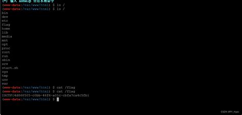 Isctf2023 Web个人复现isctf2023复现 Csdn博客