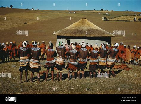 Xhosa South Africa At Gary Matthews Blog