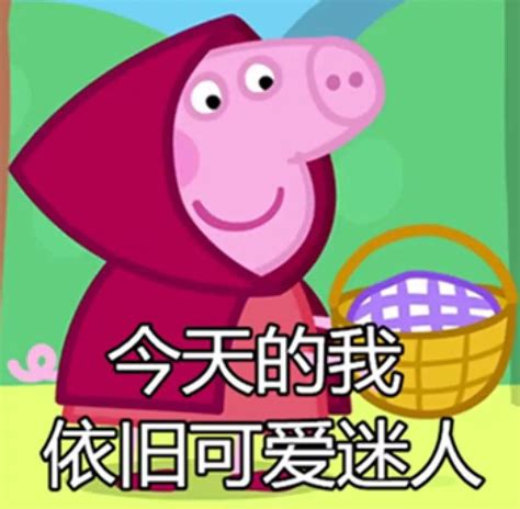 Wecode在线少儿编程 3分钟就能让孩子用python画出小猪佩奇pink