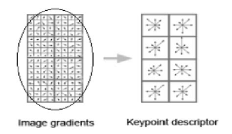 Feature Descriptor Formation For Matching Criteria Of Os Rdc Download Scientific Diagram