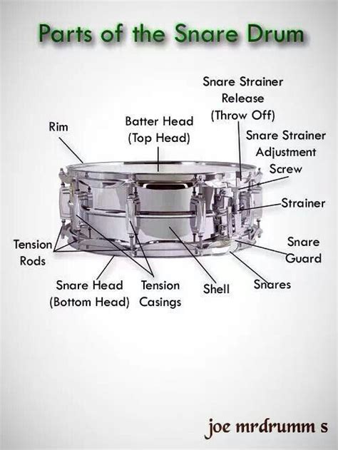 Music Ed Music Stuff Drum Parts Westhampton Percussion Instruments Brass Band Snare Drum
