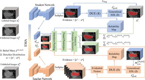 Leveraging Fixed And Dynamic Pseudo Labels For Semi Supervised Medical