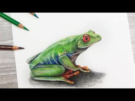 How To Draw A FROG Using COLORED PENCIL Frog Drawing Colored Pencil Artwork Frog
