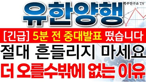 유한양행 필수시청 절대 흔들리지 마세요 더 오를수밖에 없는 이유 Youtube