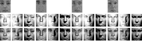 figure 1 from face recognition in sspp problem using face relighting