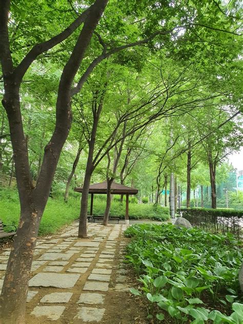 양재천 황토길 뉴스트림