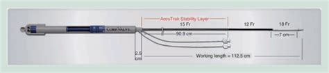 The Corevalve® Delivery System Is An Over The Wire Catheter And