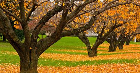 КУЛЬТУРА ПРОЦВЕТАНИЯ: Заповеди 104 - летнего мудреца