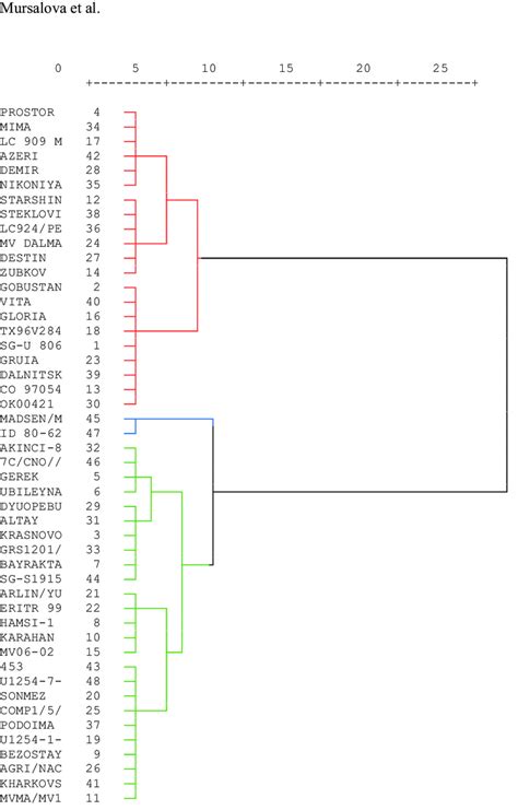 dendrogram of wheat genotypes based on cluster analysis using various