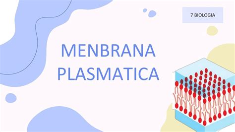 Membrana Plasmática Medicina Eli Udocz Membrana Plasmática Medicina Eli Udocz