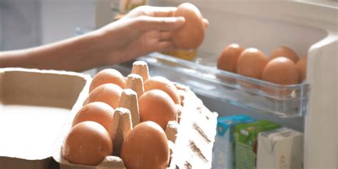 The Basics Of Egg Storage Meyer Hatchery Blog