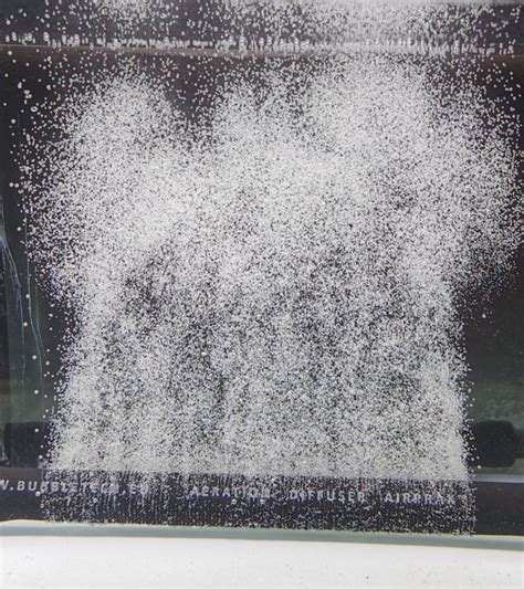 Microbubble Diffusers Bubbletech