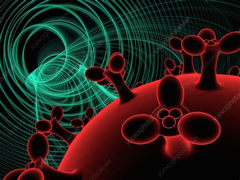 Coronavirus Capsid Detail Illustration Stock Image C0491868