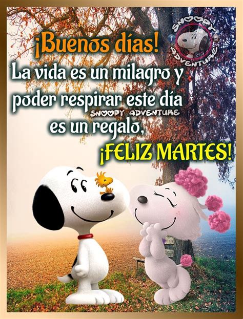 Feliz Martes