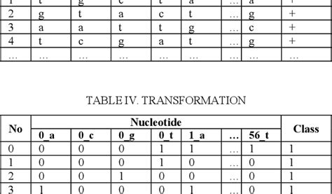 table iv from analysis of dna sequence classification using svm model with hyperparameter tuning