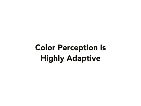 cs184 284a lecture slides
