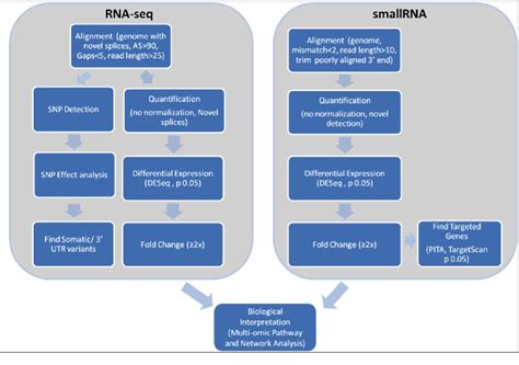 Figure 1 From Integrated Mrna And Microrna Transcriptome Analysis In