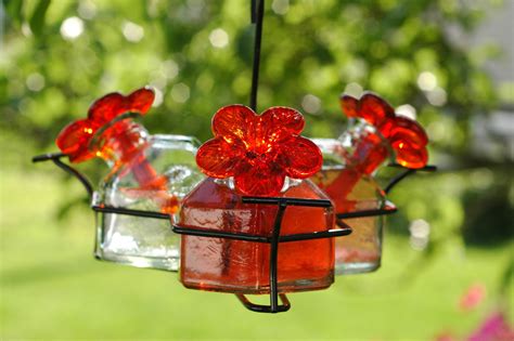 허 밍 버드 피더 무료 사진 다운로드 Freeimages