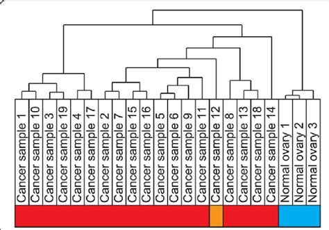 Hierarchical Clustering Hierarchical Clustering Of The 22 Expression