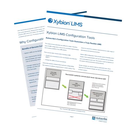 Matrix Gemini LIMS Configuration Tools Autoscribe Informatics Autoscribe Informatics