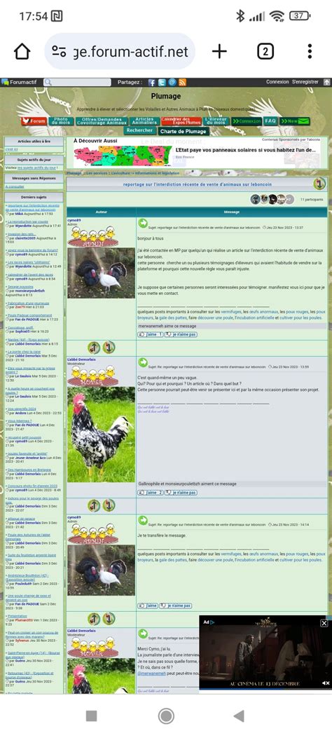 Bannière Et Bouton De La Barre De Navigation Manquant Sur Chrome