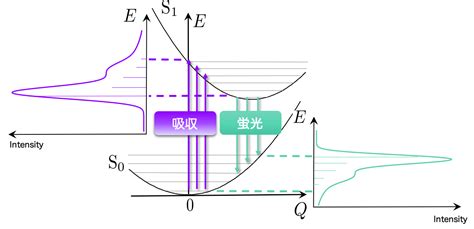 振電相互作用を考慮した 吸収・発光スペクトル計算 Molfex Inc