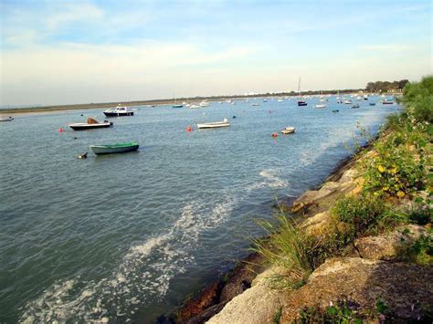 Río San Pedro Todo Lo Que Necesita Conocer Sobre él
