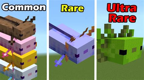 How To Make Axolotl Statue In Minecraft At Darcy Jacalyn Blog