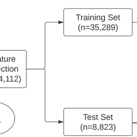 Workflow Of The Study Dt Decision Tree Rf Random Forest
