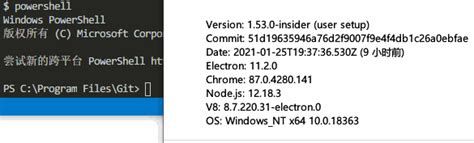 Cannot Input Chinese In The Terminal · Issue 112978 · Microsoftvscode · Github