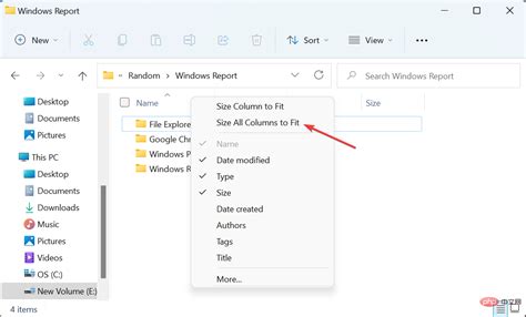 如何调整所有列的大小以自动适应windows 11 莱卡云