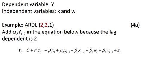 solved dependent variable y independent variables x and w