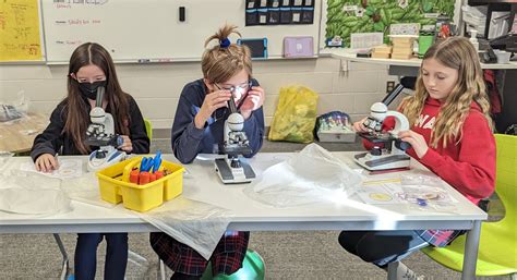 Microscope Madness In Sixth Grade Science