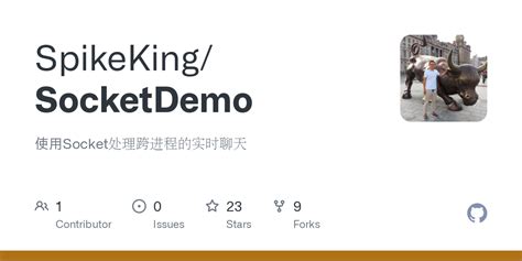 GitHub SpikeKing SocketDemo 使用Socket处理跨进程的实时聊天
