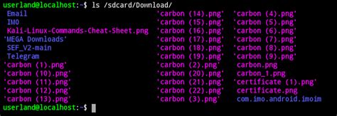 Bug Report It Cant Access Sdcard Fully · Issue 1591