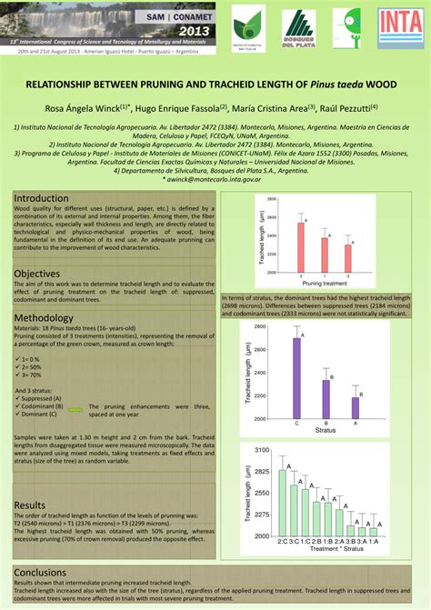 Pdf Relationship Between Pruning And Tracheid Length Of Pinus Taeda Wood