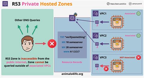 Hosted Zones Aws Sa Professional