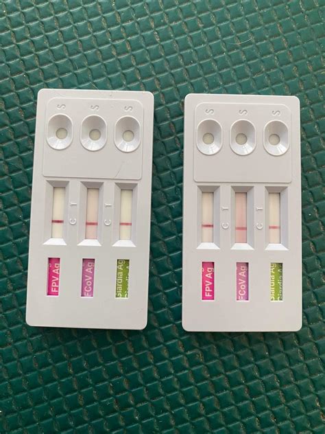 Ветеринарен кабинет д р Венцеслав Стоев Sofia