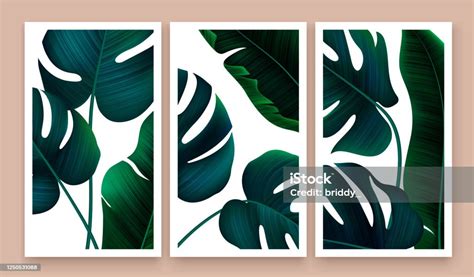 열대 잎이 있는 포스터 세트 벡터 이국적인 트로픽 일러스트레이션 잎에 대한 스톡 벡터 아트 및 기타 이미지 잎 0명 가리기 Istock